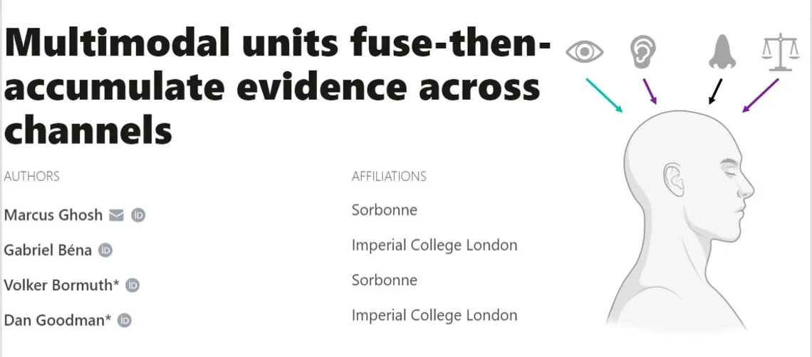 Multimodal units fuse-then-accumulate evidence across channels ...